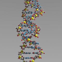 scienc model | Page 1 | STLFinder