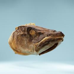 dried fish barrel 3D Models | Page 1 | STLFinder