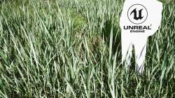 realistic grass ue4 3d models 【 STLFinder