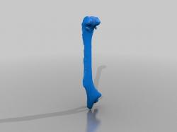 CT Scan of Mouse Femur half 3D Models | Page 1 | STLFinder