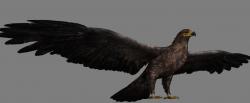 eagle assets 3D Models | Page 1 | STLFinder