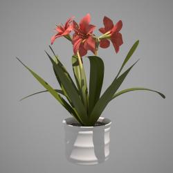 belladonna model | Page 1 | STLFinder