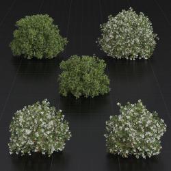 azalea bush 3d models | Page 1 | STLFinder