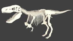 t rex dinosaur skeleton 3D Models | Page 1 | STLFinder
