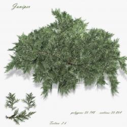 juniper models | Page 1 | STLFinder