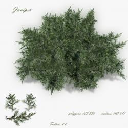 model y juniper 3d carmat | Page 1 | STLFinder