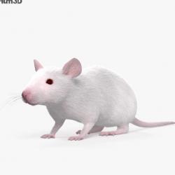 hd mouse models | Page 1 | STLFinder