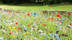 blender 3d modeling and animation | Page 1 | STLFinder