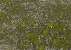 stone moss texture 3D Models | Page 1 | STLFinder