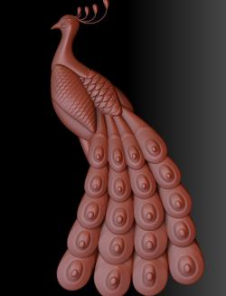 3d peacock model 【 STLFinder