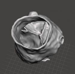 root 3d print 【 STLFinder