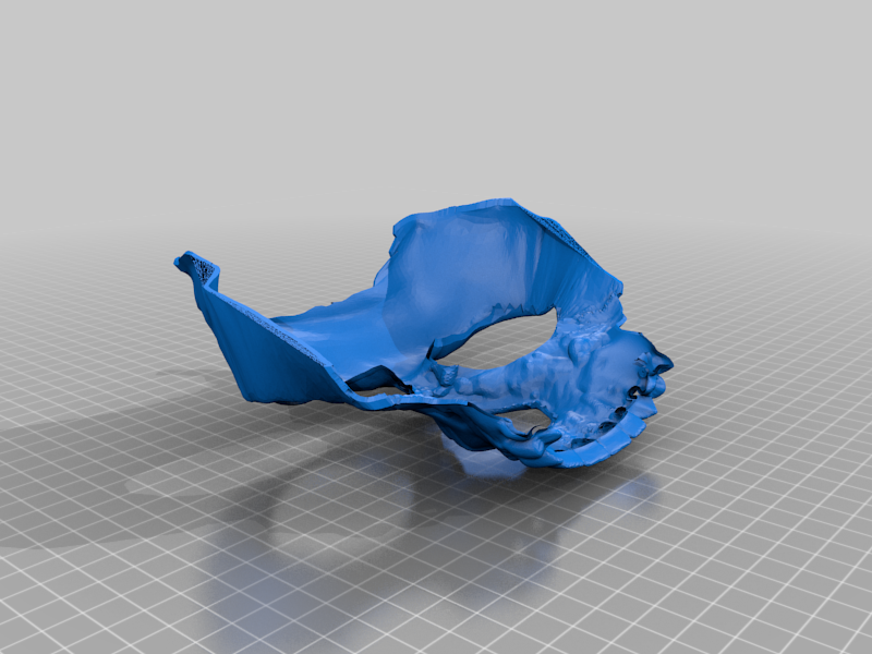 call of duty ghost mask 3d models - BAMAX