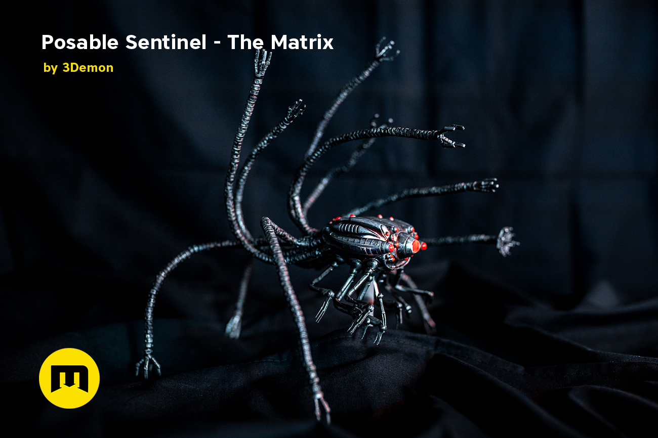 sentinel matrix 3d models - BAMAX